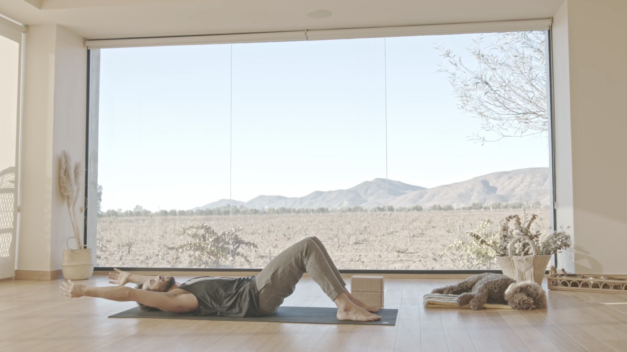 Yoga with Tim | Live Yoga Teachers